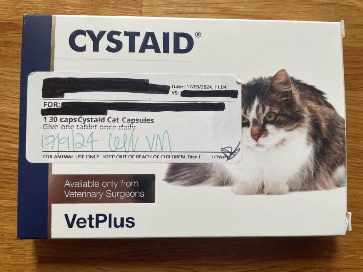 Urine trouble? A vet nurse’s guide to feline lower urinary tract disease