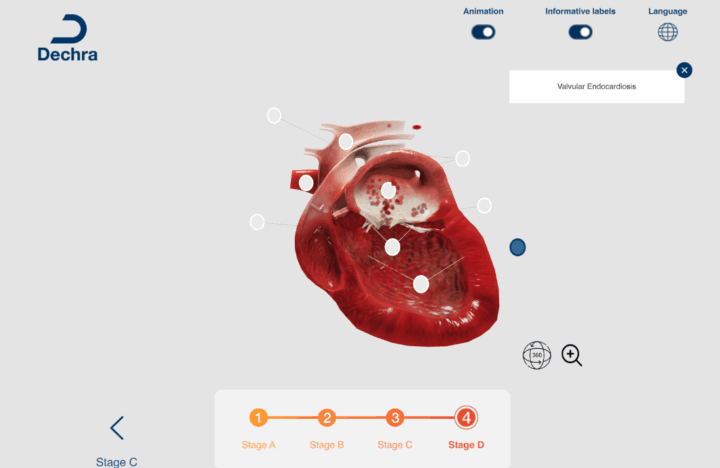 Interactive heart model launched to support client conversations on ...
