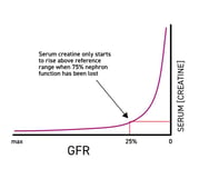 Diagnosis of early feline chronic kidney disease