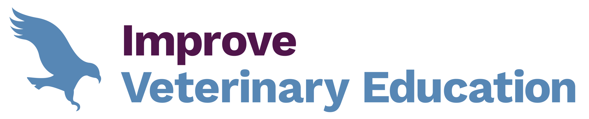 Veterinary orthopaedic courses: Our UK options for surgery CPD in 2026