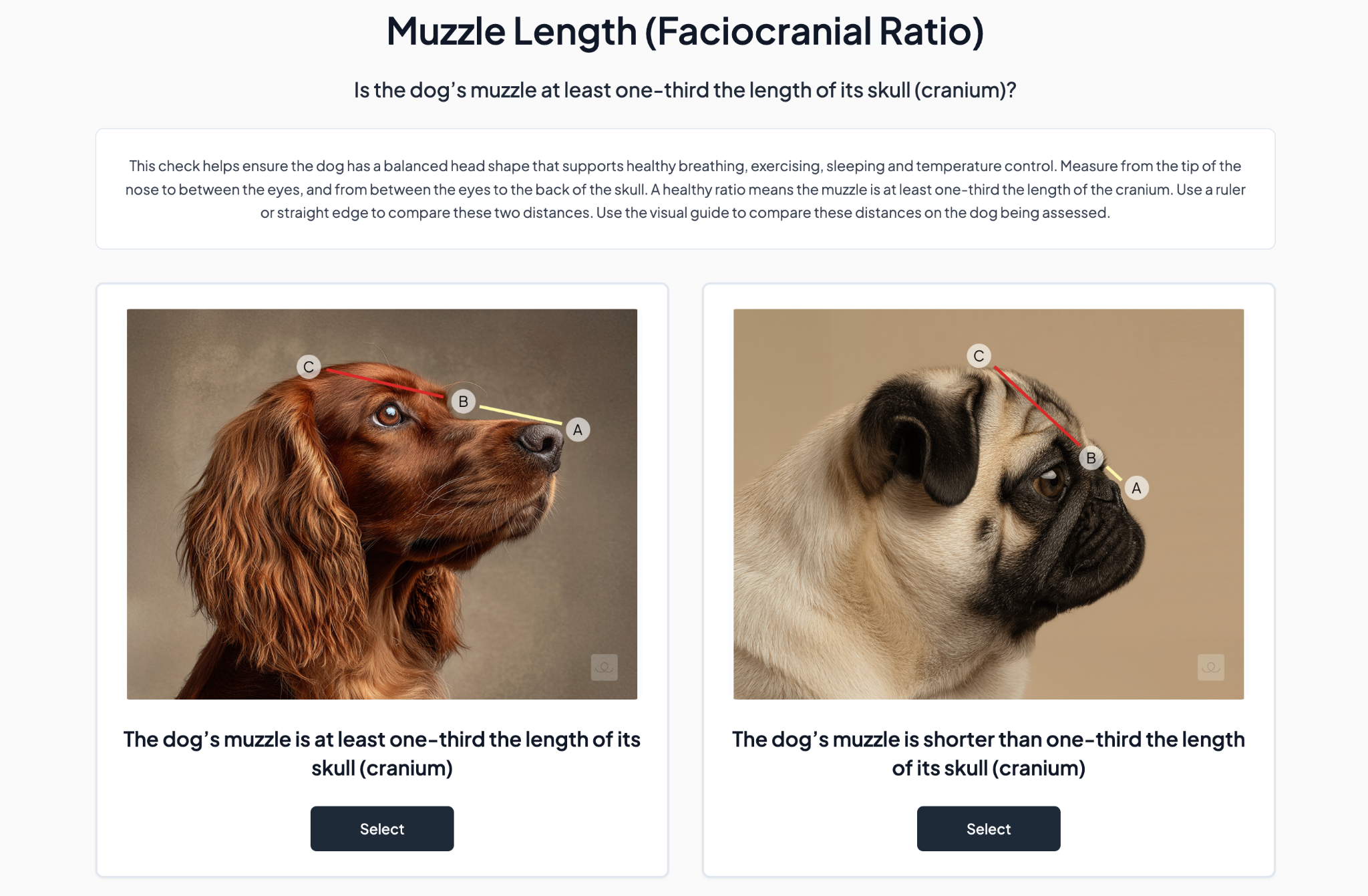 Free innate health assessment tool for vets and dog breeders launched